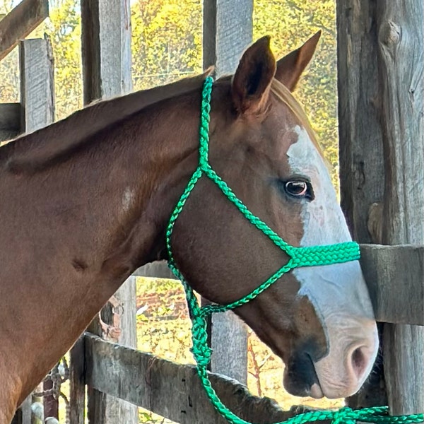 Mule Tape Halters - Assorted Colors- - Etsy