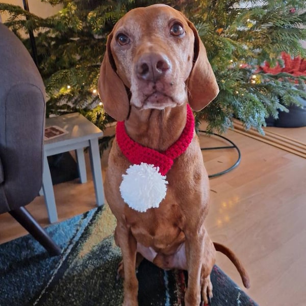 Christmas Dog Scarf With Pompom - Available in 4 Colour Schemes - Santa ...