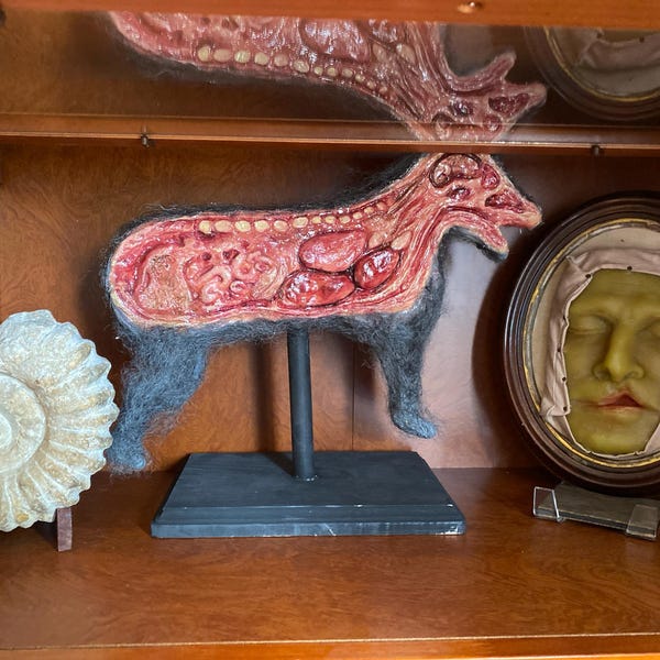 ROTLD Half-corpse! Full Size - Etsy