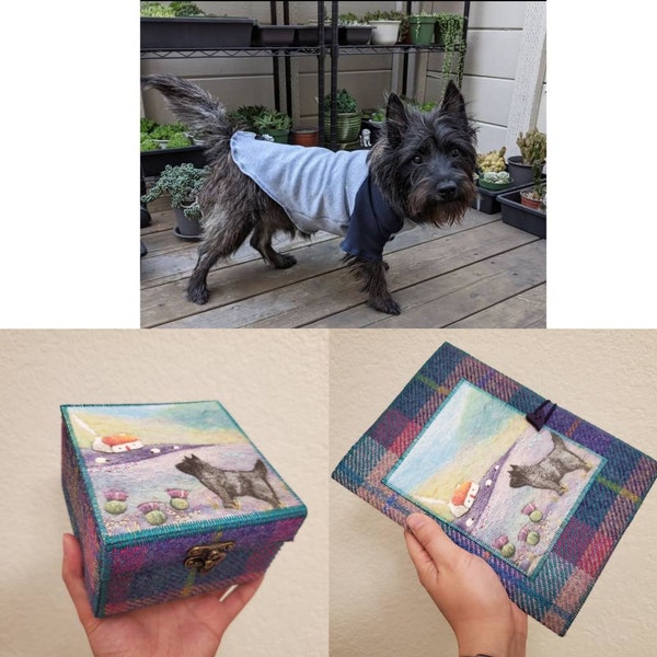 Sheep and Lamb Tin, Small Round Storage Box With Scottish Cottage Scene ...