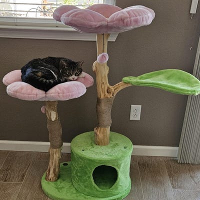 EDEN Wood Floral Cat Tree Tower, Wooden Cat Tower, Modern Cat Climbing ...