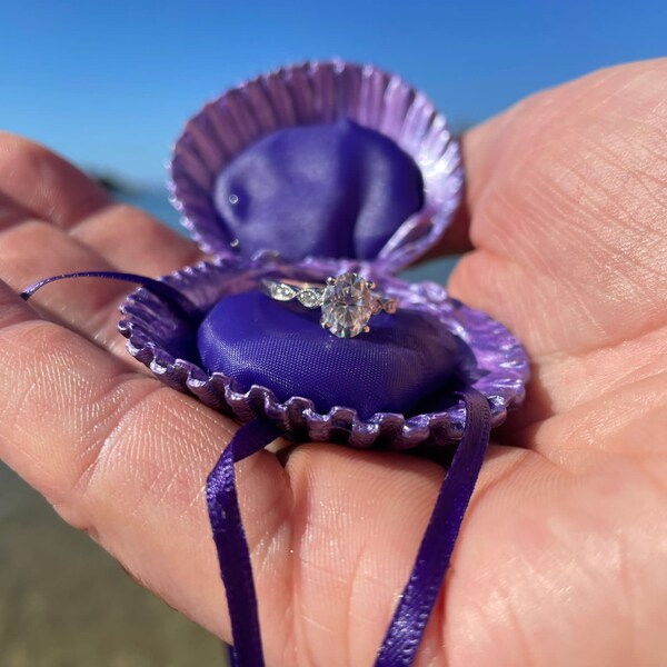 OOAK Nautical-themed Light Pull Handle From Beach Shell, in a Sparkling ...