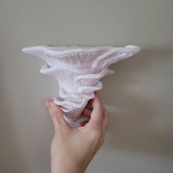 3D Printed Cottage Core Witchy Fungi Mushroom Wall Shelf “DJAMOR FUNGUS ...