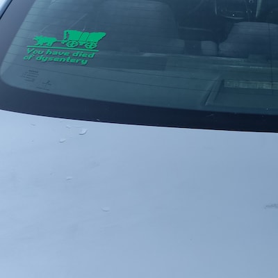 Dance Like Drax Isn't Watching Dancing Baby Groot Decal / - Etsy