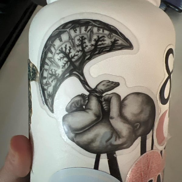 Clear Vinyl Sticker Back Muscle Anatomy Sticker Medical Theme Sticker ...