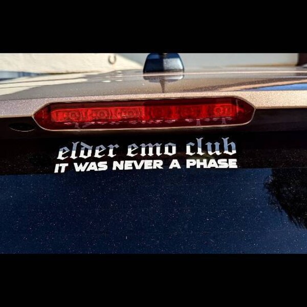 Wasted Paychecks Car Decal Art Bumper Sticker Decor Truck Window ...