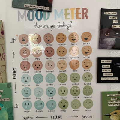 Mood Meter, Feelings Thermometer, Feelings Chart, Zones of Regulation ...