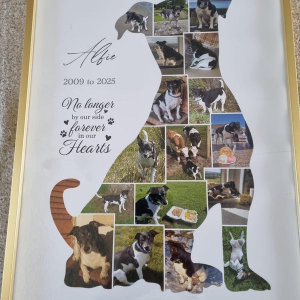 Cocker Spaniel Photo Collage Print, Personalised Pet Lover Gift, Pet ...