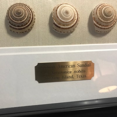 1x3 Custom Engraved Notch Corner Brass Plate Picture Plaque Name Tag ...