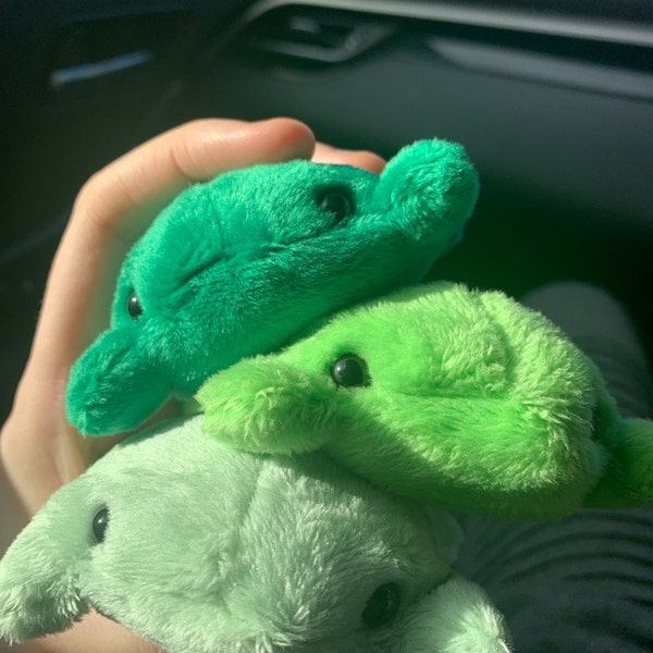 Three Bean Greens Frog Stack Gift Set. Baby Bean Frogs in Three Shades ...