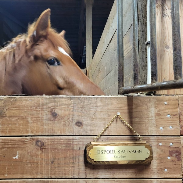 Fancy Horse Stall Name Plate- Solid Brass and Wood - Personalized ...