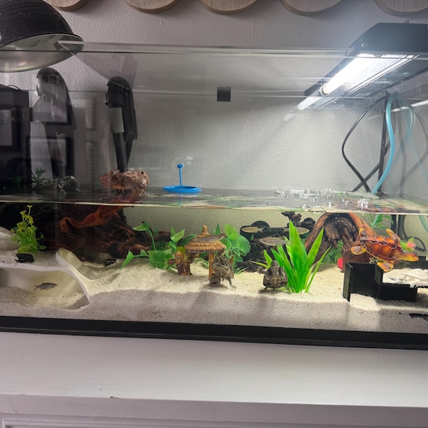 Corner Aquarium Terrarium Cave Hideout – Decorative Shelter for Fish ...