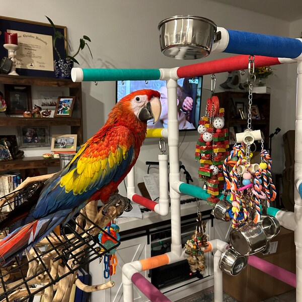 THE MOVER Large: Portable Parrot Perch W/ Cup for Amazons, Cockatoos ...