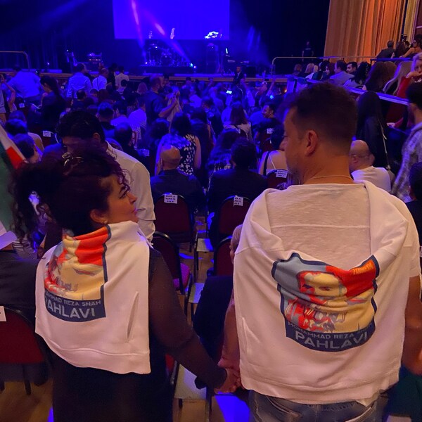 Achaemenid Falcon Shahbaz Sticker (bubble Free) - Etsy