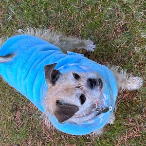 Pug Snuggly's Snow Patrol/winter Coat With Thinsulate - Etsy