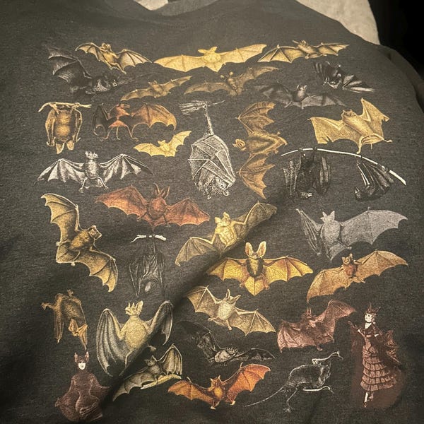 Worst Case Scenario Sweatshirt, Mountain Themed T Shirt, Hiking Tees ...