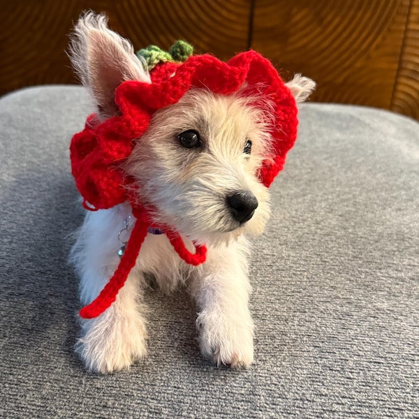 Crochet Red Devil Bonnet - Etsy