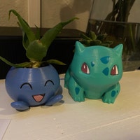 Bulbasaur pintado y maceteros extraños con suculentas/cactus vivos Dos ...