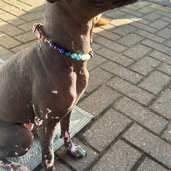 Lithotherapy and Anti-ticks Collar for Dog, Anti-anxiety and ...