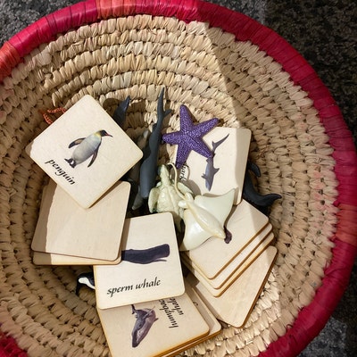 Montessori and Waldorf Learning Sea Life Animals Sustainable Match Toys ...