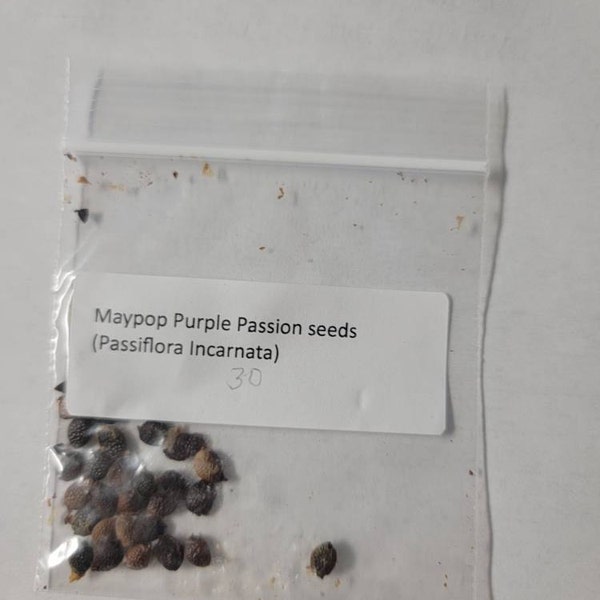 15 Maypop Purple Passion Seeds (edible Fruit!) (passiflora Incarnata ...