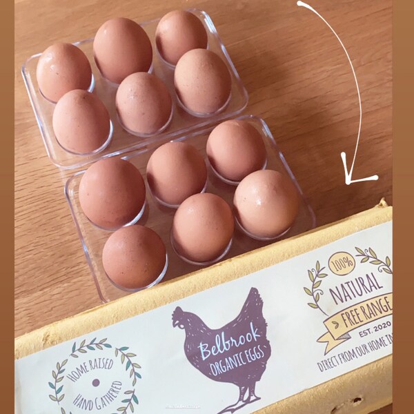 Custom Egg Carton Label - Vintage Style - Fresh Eggs Label - Print at ...