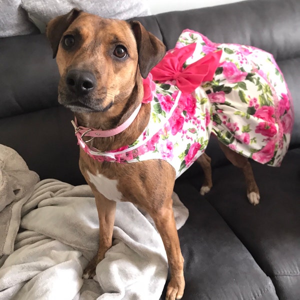 Special Occasion Party Dog Dresses for Small Breed Dog, Designer Dog ...
