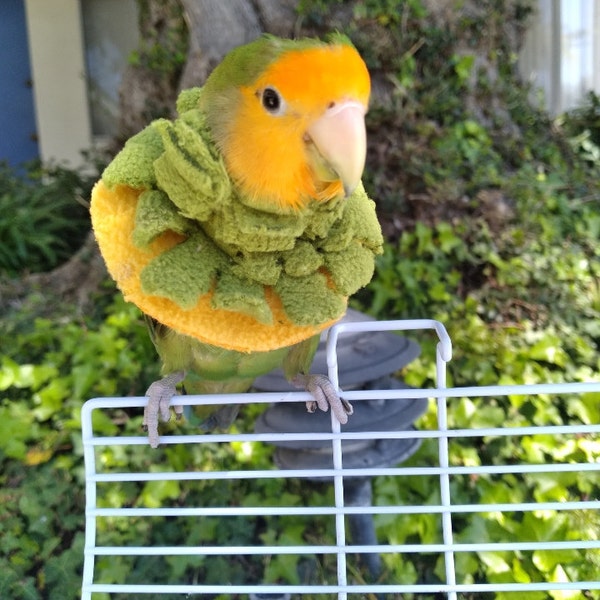 Vest E-collar Jacket for African Grey Parrots That Pluck & Pick ...