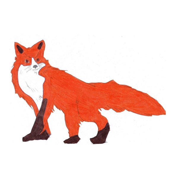 Cursive Alphabet Poster - Nature Watercolor Illustrations - ABC Print ...