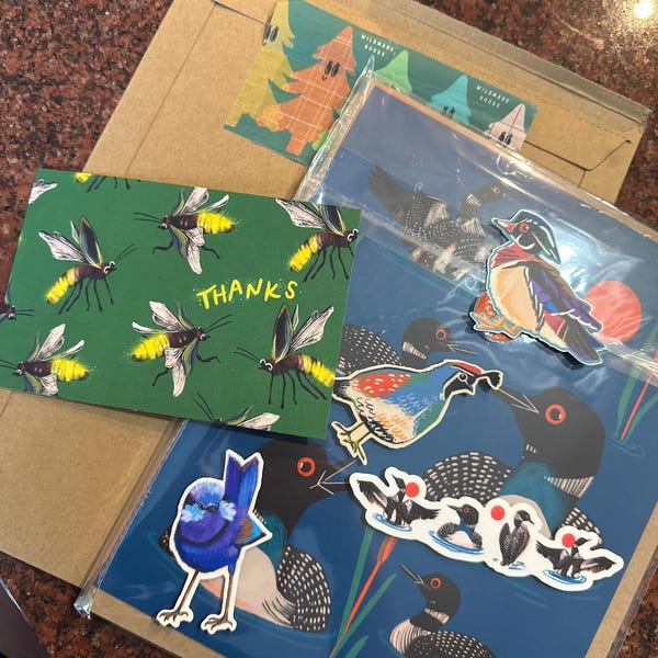 Bundle 10 Vinyl Sticker, Sticker Bundle Pack, Sticker Bundle, Vinyl ...