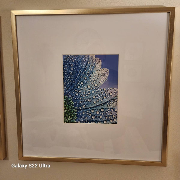 Japanese Maple Leaves Photograph Maple Leaves Print Leaves Wall Art ...