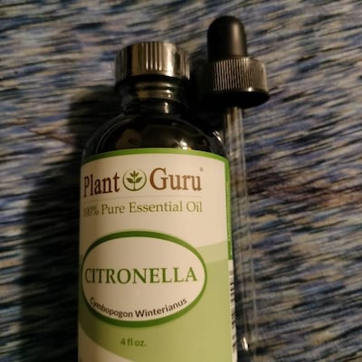 Citronella Essential Oil 100% Pure Natural Therapeutic Grade ...