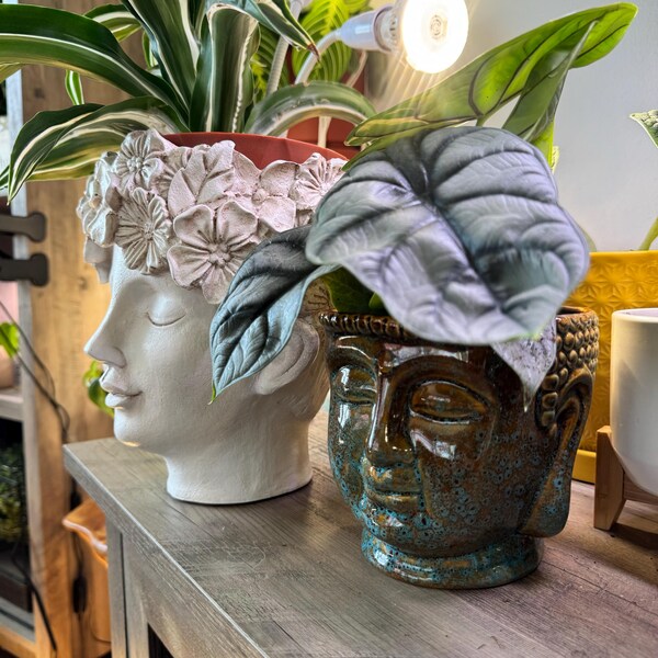 Serene Buddha Planter Pot in Royal Blue Glaze for Herbs, Flowers or ...
