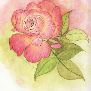 Rose Flower Drawing Outline/template Printable Traceable PDF Coloring ...