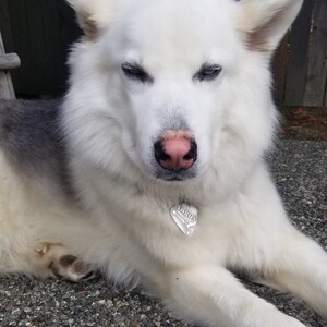 K9 Officer Police Badge Dog Tag-custom Engraved Dog Collar - Etsy