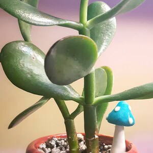 Dino Nugget Keychain Polymer Clay Food Chicken Nugget Dinosaur T-rex ...