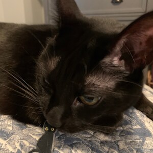 Croc Sticker Crocs White Crocs Waterproof - Etsy