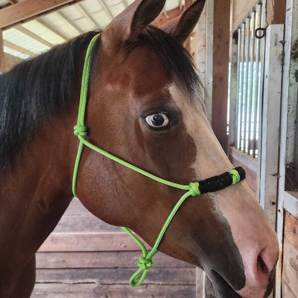 Custom Halter and Mecate Rein Set, Custom Mecate Reins, Mecate Training ...