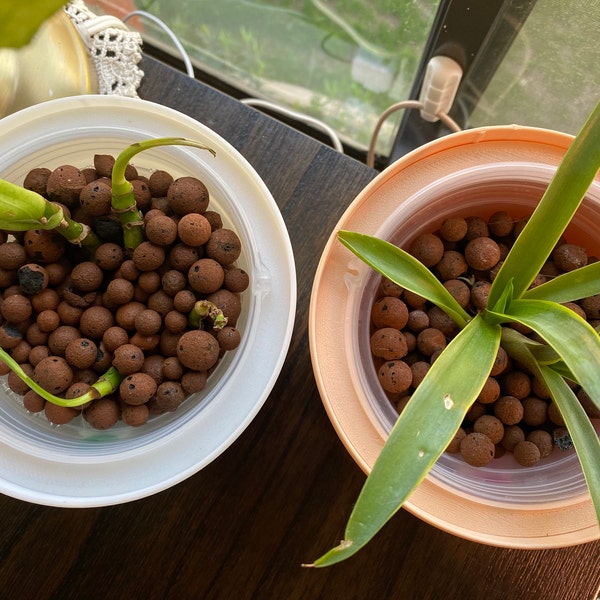 LECA Pots Self Watering Planter for Houseplants 5.5 Inch 3-pack ...
