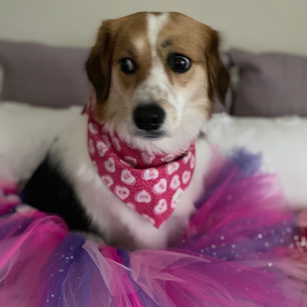Dog, Cat, Pet Tutu Purple Passion Premium Dog Tutu, Dog Skirt, Dog ...