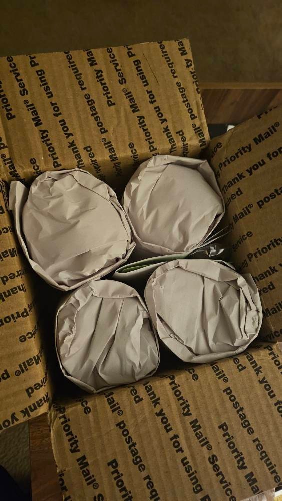 Pickle Flight - Kelly's Death Pickles (4- 8 oz. jar flight) - FREE SHIPPING