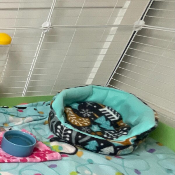 Guinea Pig Tunnel Guinea Pig Accessories Colorful Guinea Pig Play ...