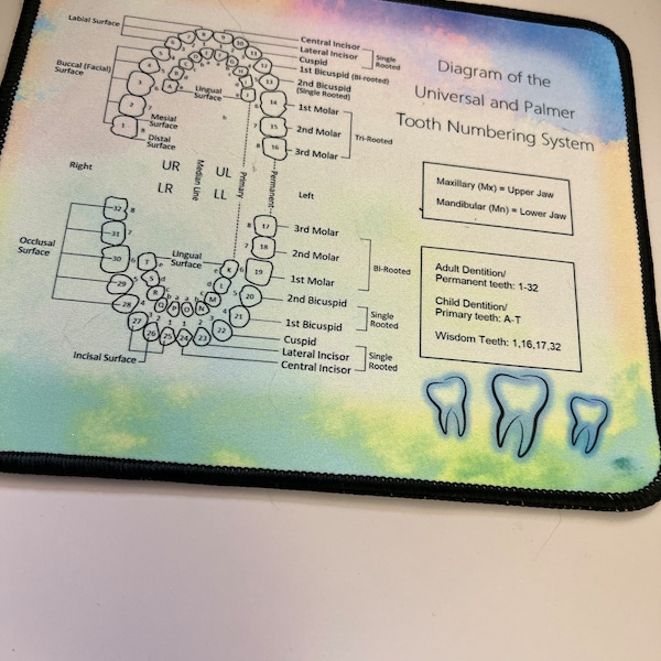 Tooth Numbering Diagram Mouse Pad for Dentist Offices & Students. Tooth ...