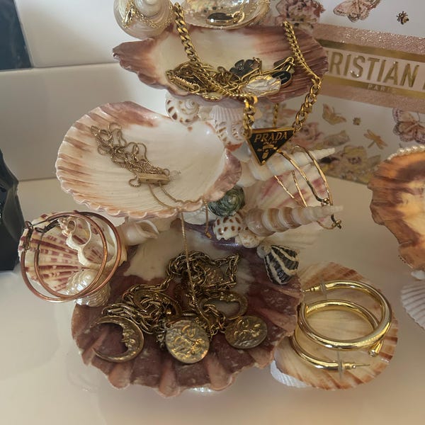 CORAL - Shell Jewelry Holder - Jewellery Display- Beach and Ocean ...