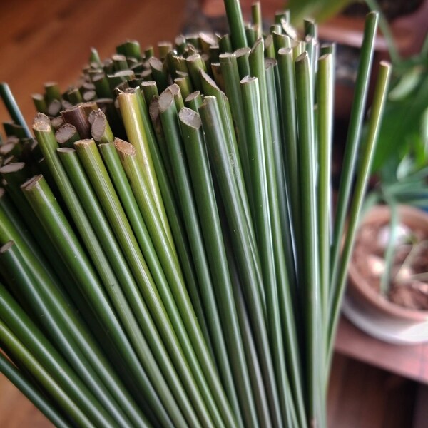 Make Your Own St Brigid's Cross From Authentic Wild Irish Rushes ...
