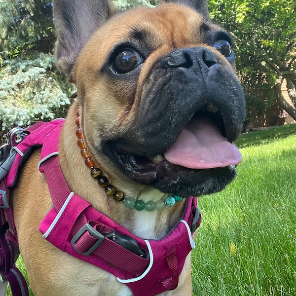 Collar Anti Tick and Fleas With Turquoise - Lithotherapy for Dogs - Etsy