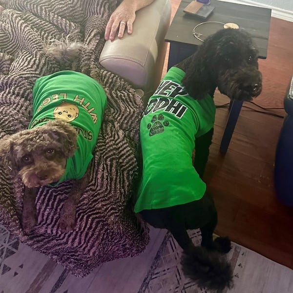 Customizable Pet Shirt: Create a Unique Look for Your Pet Personalized ...