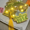 The Princess & the Diploma Graduation Cap Topper W/ Lights - Etsy Canada