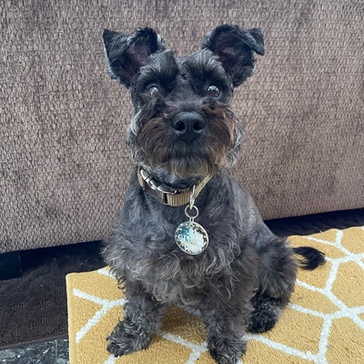 Matching Dog Tags and Keychain Custom Dog Tag Resin Dog Tag Glitter ...