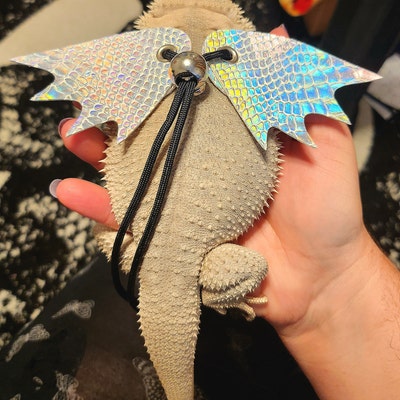 Turquoise Python Harness With Wings - Etsy